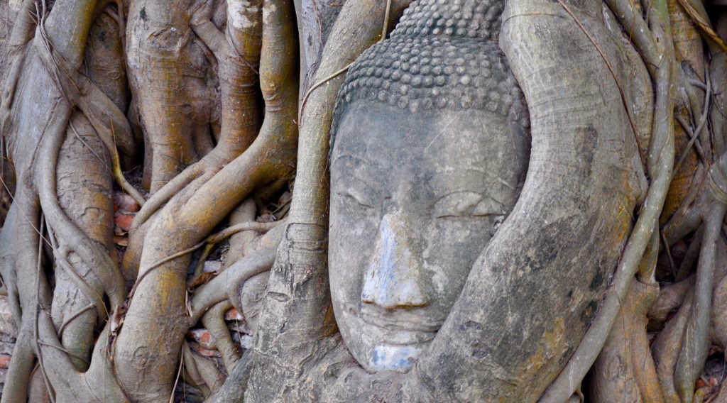 Tyler Kent White | QUANTUM AWARENESS Where Science and the Buddha Meet