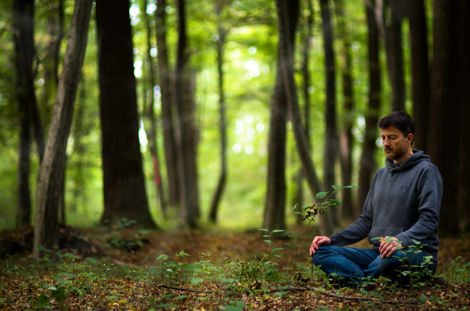 Proper Meditation Posture | QUANTUM AWARENESS Where Science and the ...